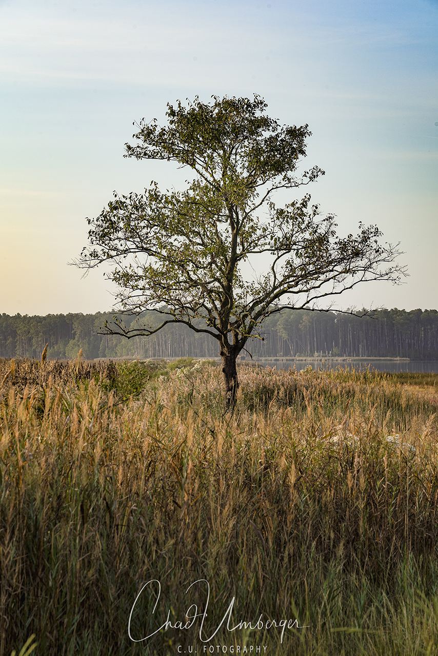 Outcast - Fine Art Photography by Chad Umberger